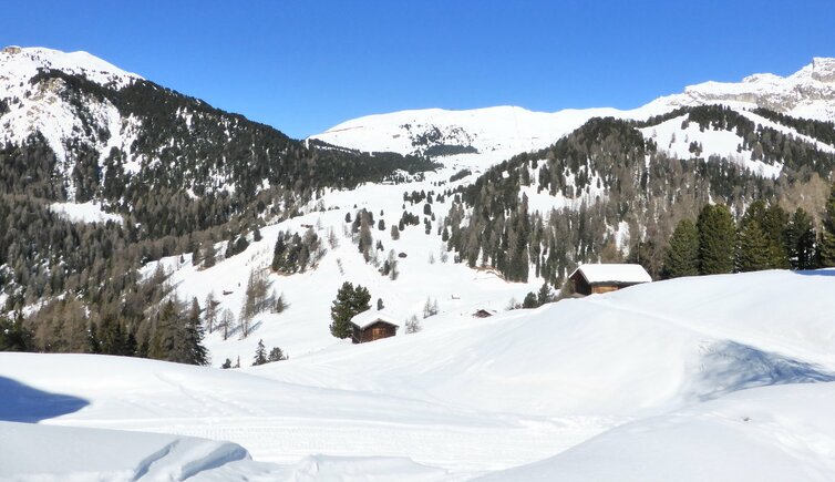 Wiesen der Seceda - Gröden, Dolomiten, Südtirol